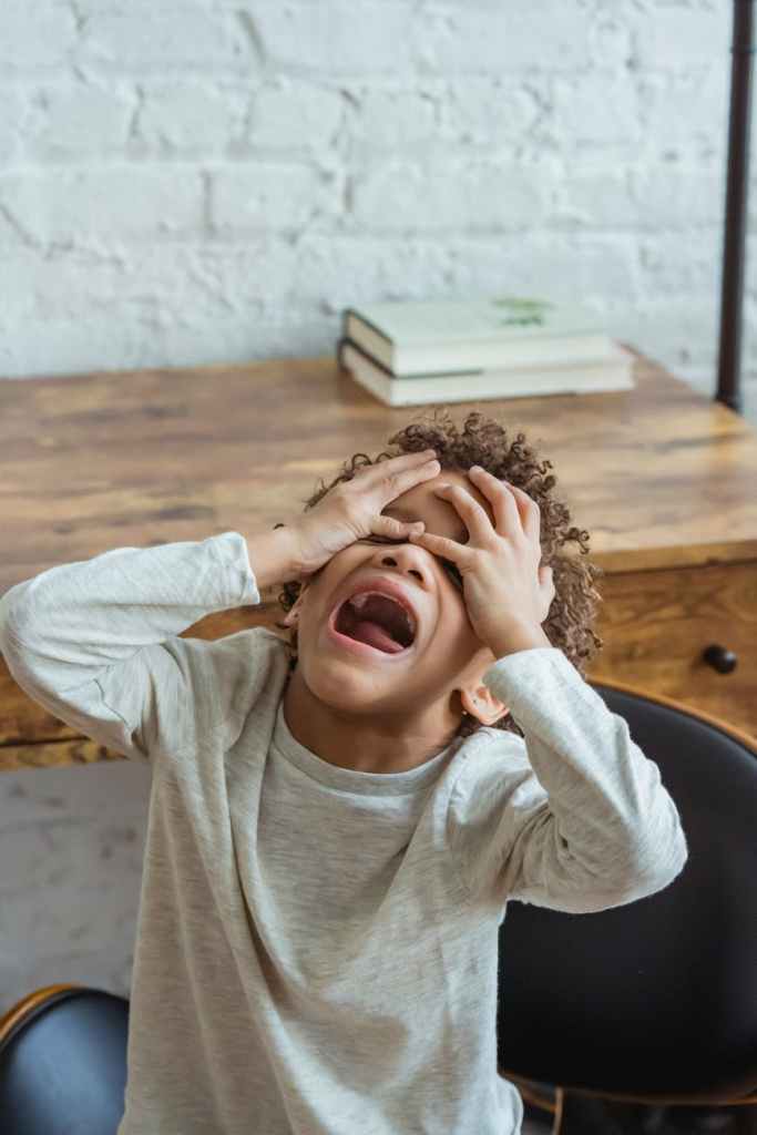 The Little Big Voice – Site Title